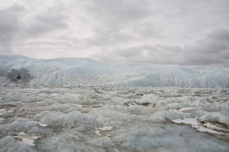 Biologist. Explorer. Storyteller. – Studying the invisible biological ...